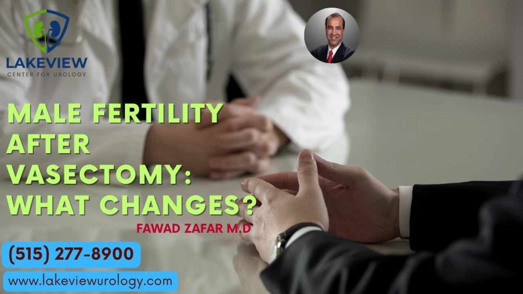 Male Fertility After Vasectomy: What Changes? – Lakeview Center for Urology